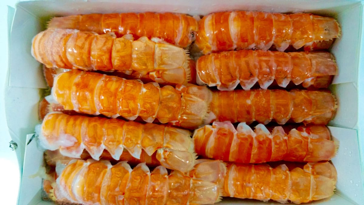 humarsalan.is – Humar